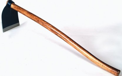 රක්වානේ මල්ලී අයියාට උදැල්ලෙන් කොටා මරා දමලා