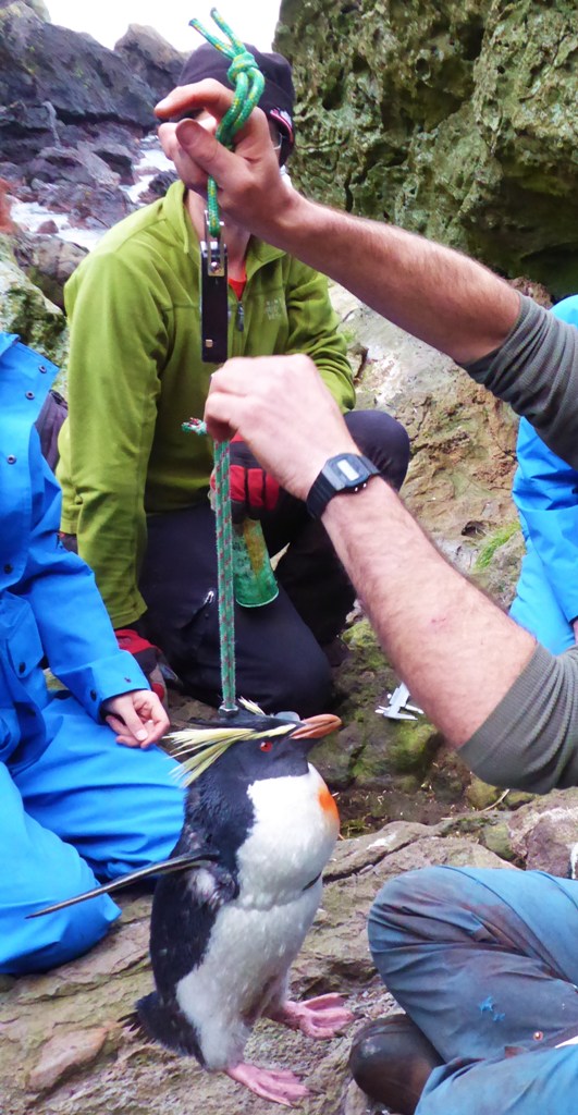 2000 Miles from Anywhere...