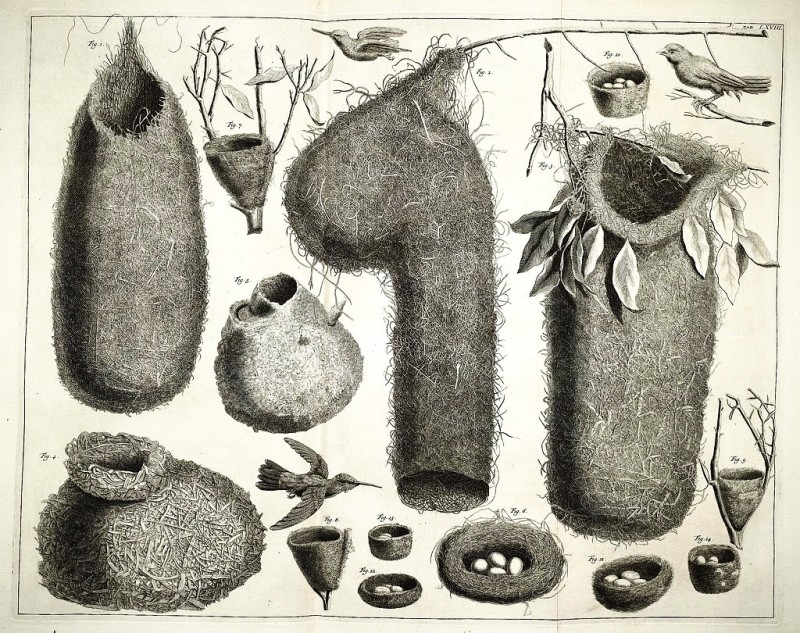 Deconstructing Time: Evidence for a Basket Weaving Technology in the ...