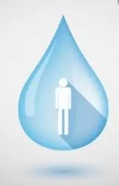 What are the water : fluid of life