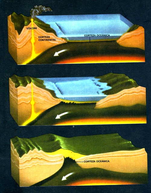 EL CICLO DE WILSON: EL CICLO DE WILSON