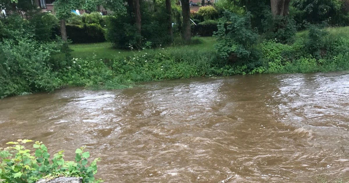 Daily River & Catch Reports