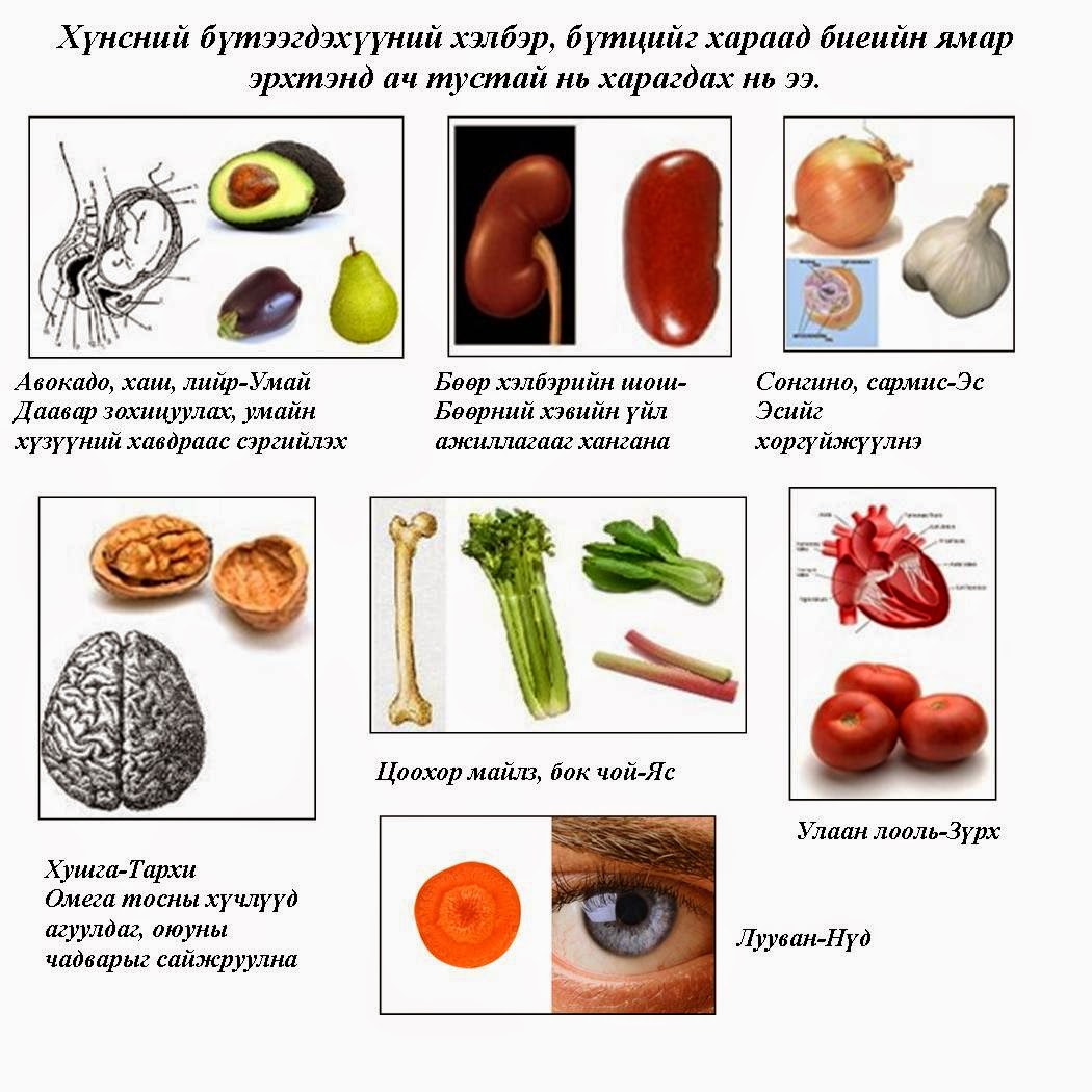 Агаруу Органик дэлгүүр Agaruumn Бусад зурагт зөвлөмжүүд