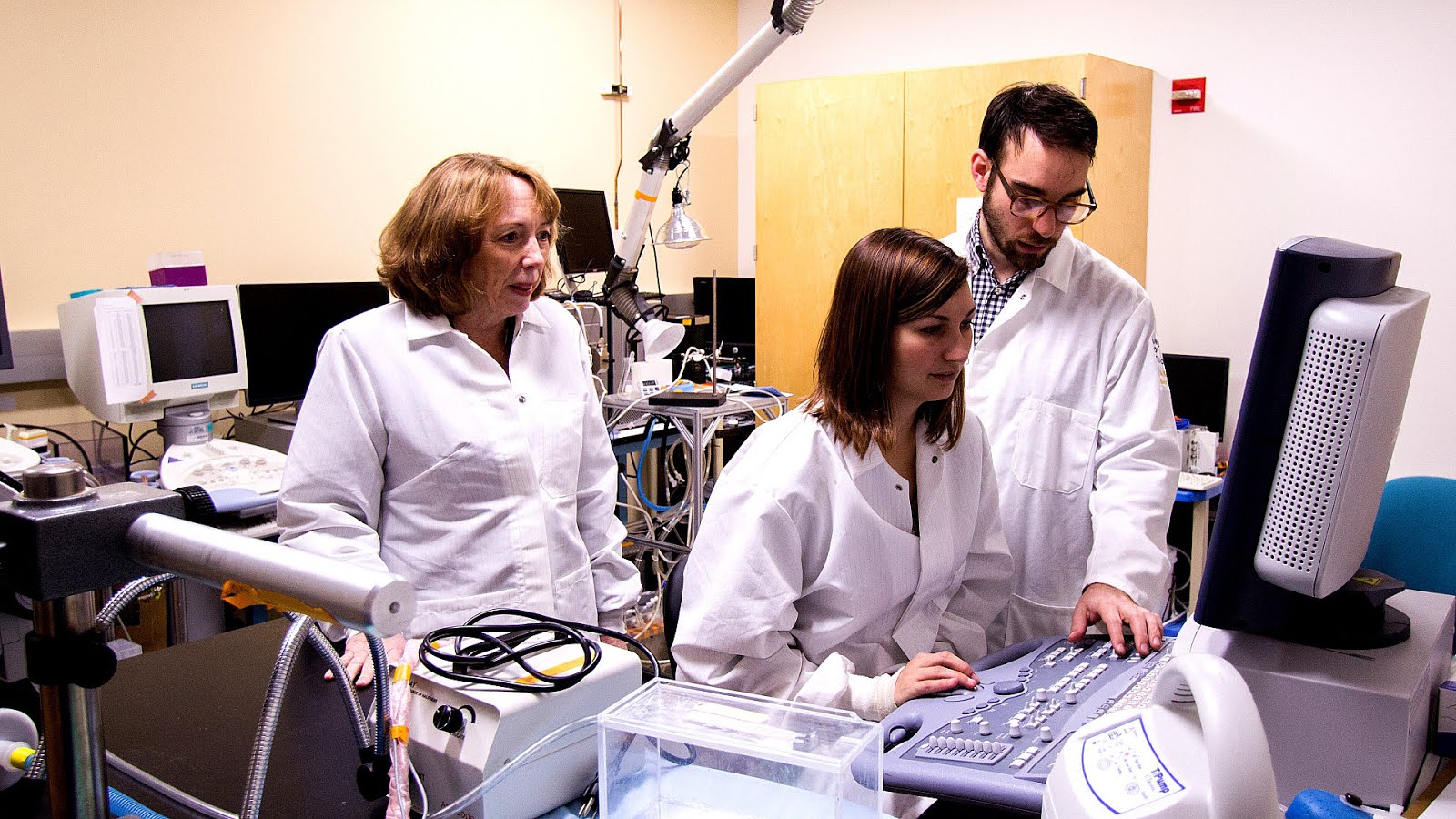 Biomedical Engineering Education Requirements - Education Choices