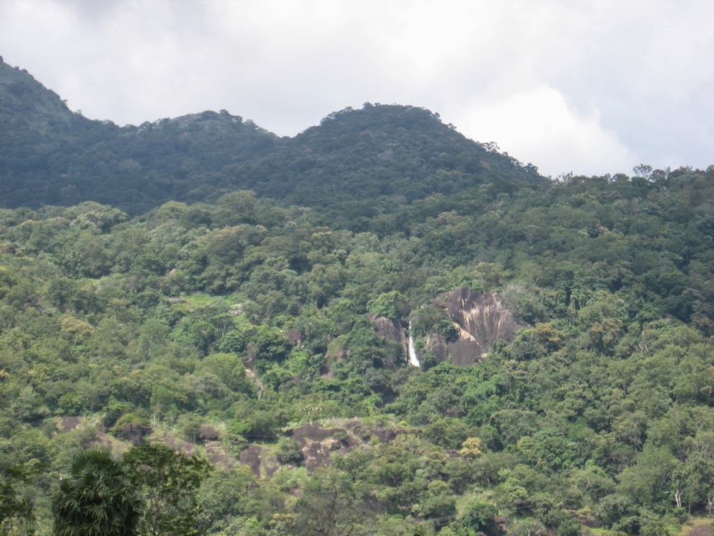 Keeriparai Forest & Vattaparai Falls