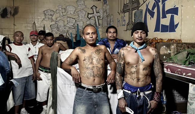 pandillerismo o asociación delictuosa