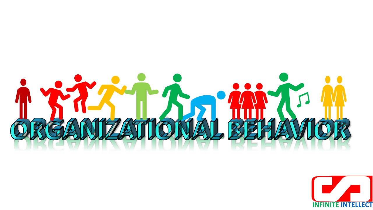 WHAT IS ORGANIZATIONAL BEHAVIOR what-is-organizational-behavior