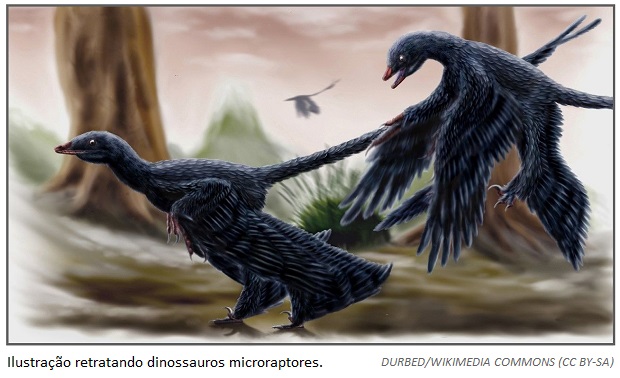 Esse dinossauro tinha quatro asas e trocava de penas como as aves ...