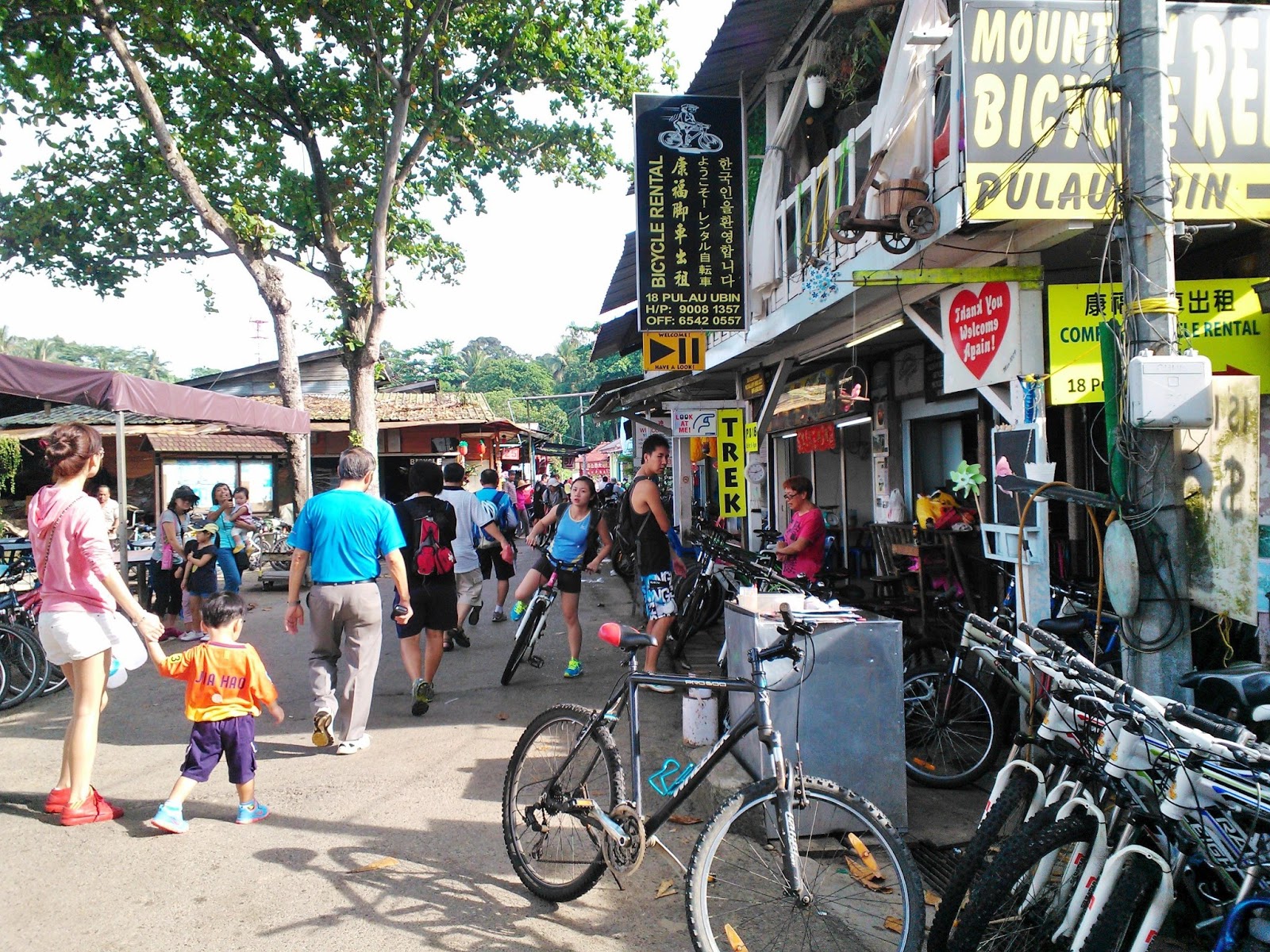 Getting to and around Pulau Ubin island in Singapore