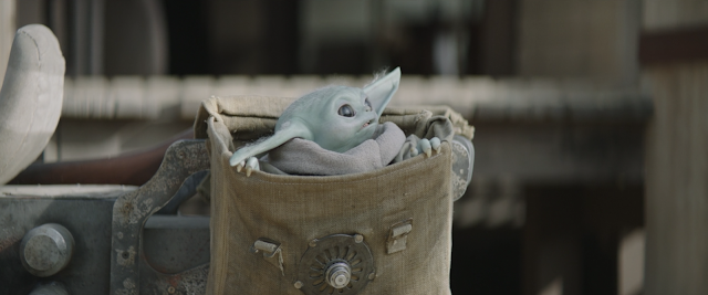 Did Mace Windu Save Baby Yoda