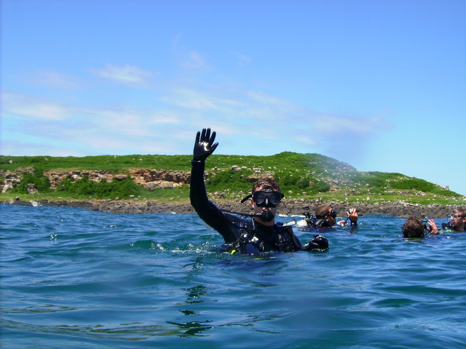 Dive Flag App Travels, Shop & Product Reviews: Tweed Seasports