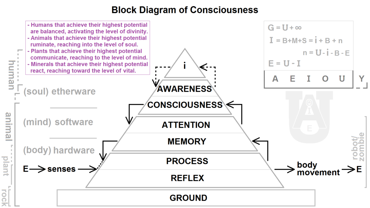 The Word - Intentions!