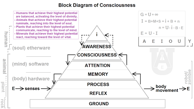 The Word - Intentions!