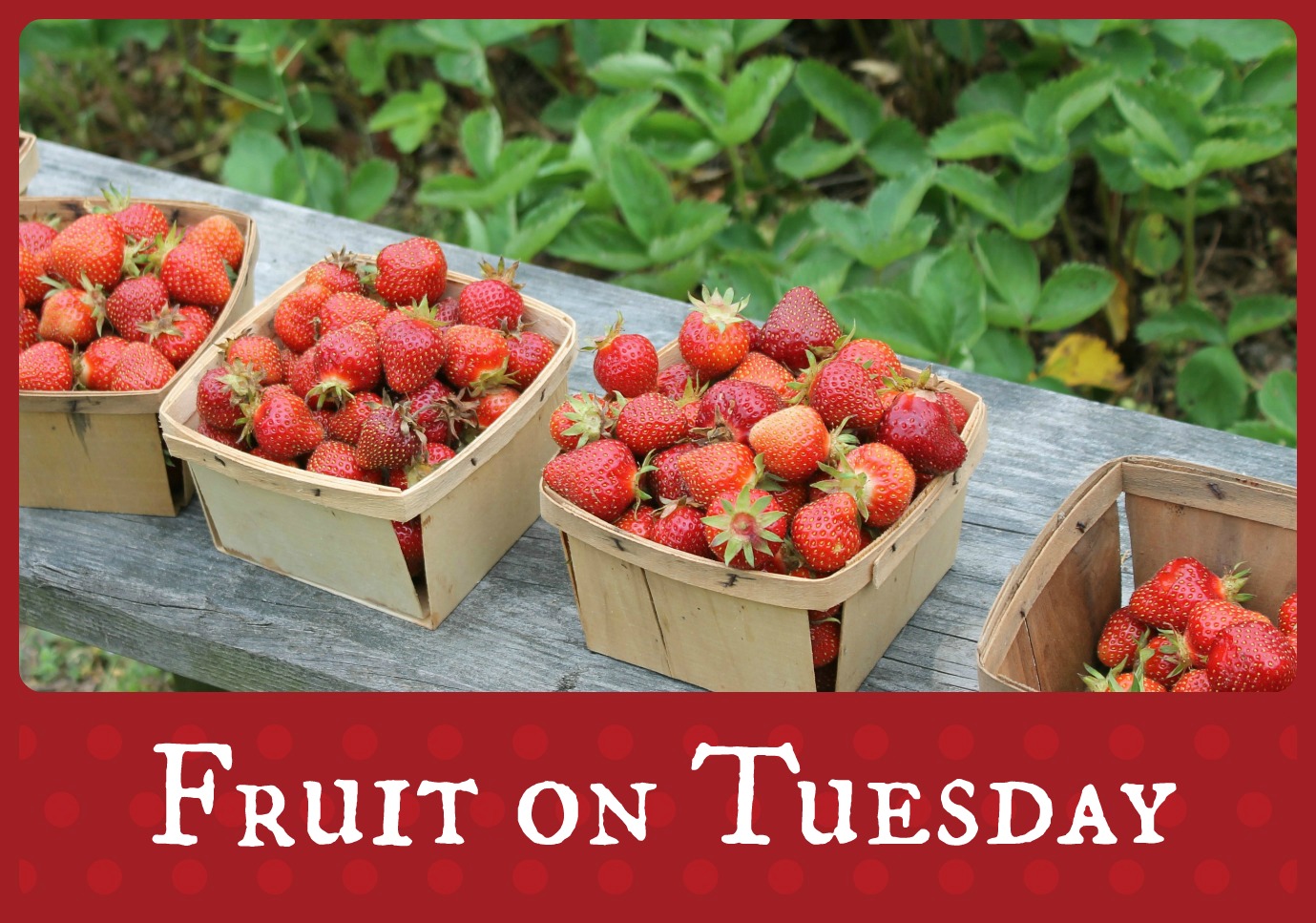Thinking About Home: Fruit On Tuesday ~ Week 11 {Cheesecake-Stuffed ...