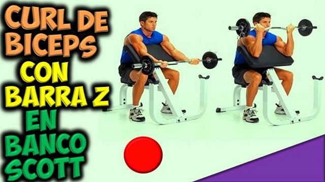 Ejercicio Curl De Biceps con Barra Z en Banco Scott Ganar Brazos