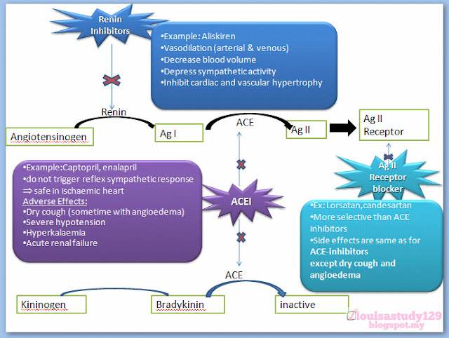 Study Pack: Drugs act on RAAS - ACEI,ARB,Renin inhibitor