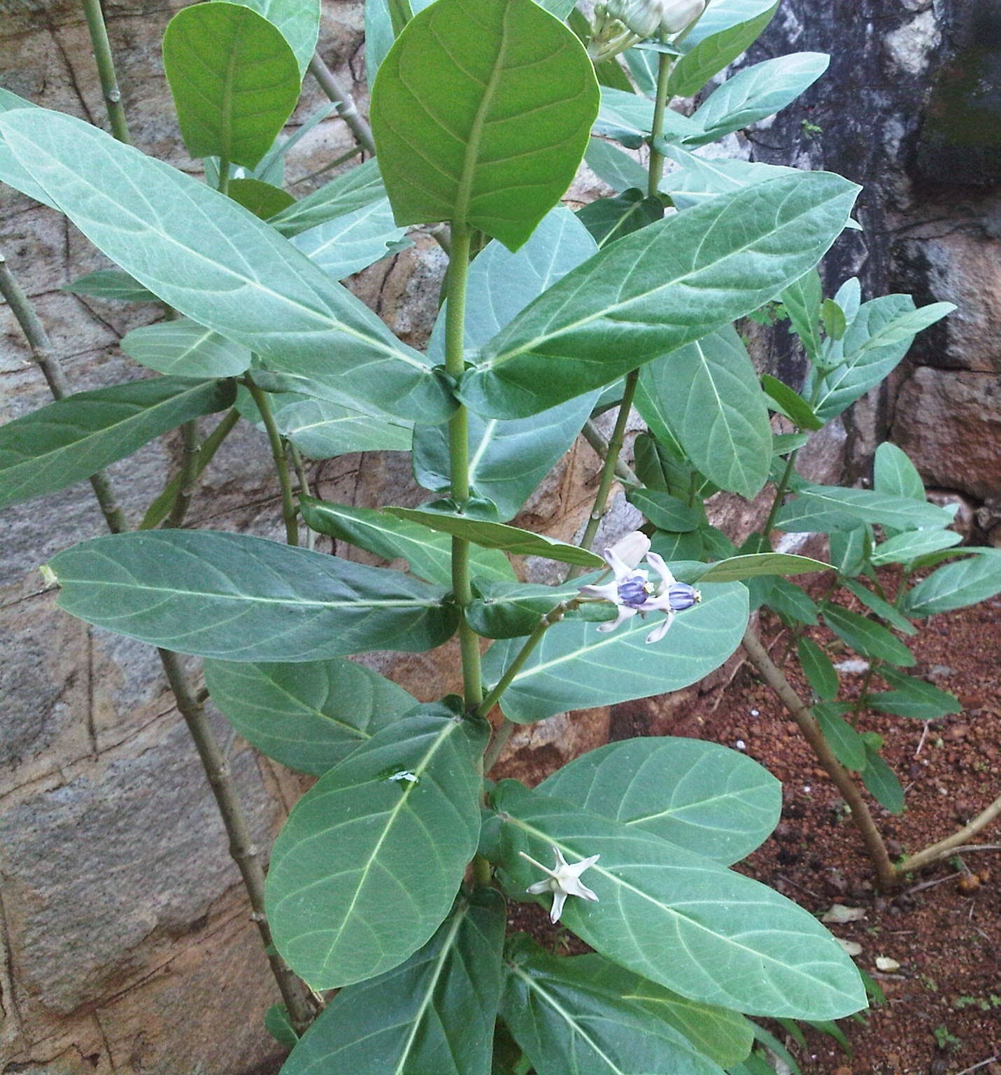 Biodiversity: October 2014