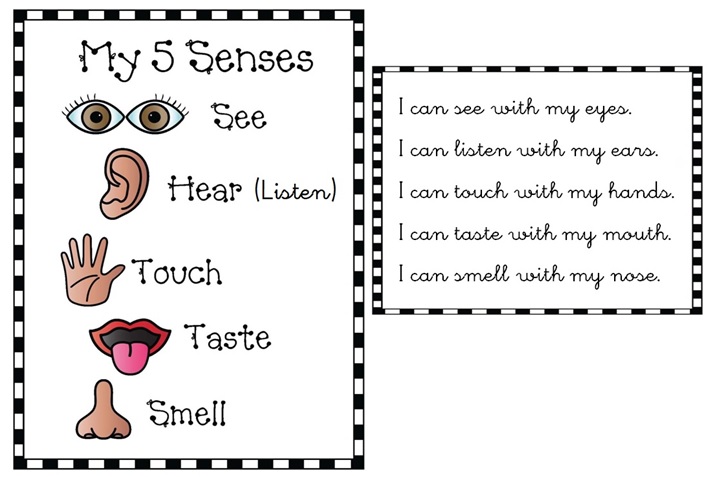 Quinti British : Body 1º