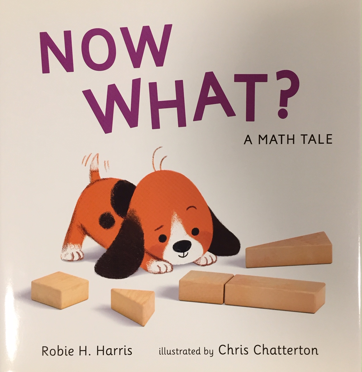 Literacy, families and learning: Twelve Great Picture Books for ...