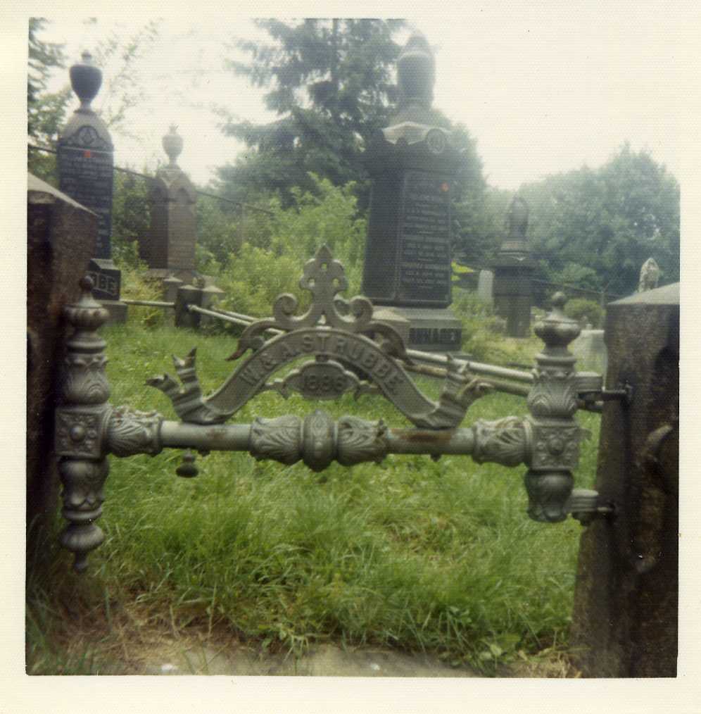 Quilts, Gravestones, and Elusive Ancestors: Strubbe Plot and A Mystery Man