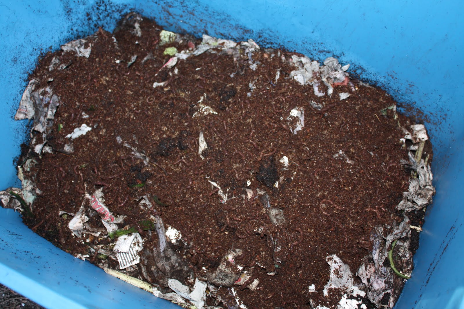 Thimbles, Bobbins, Paper and Ink: Worms in the mail