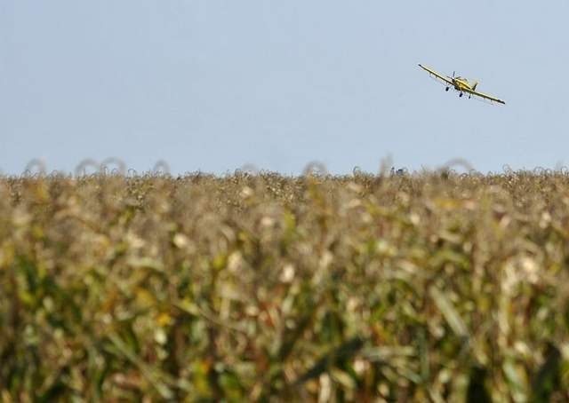 Kathryn's Report: PHOTO: A crop duster flies over fields Wednesday ...