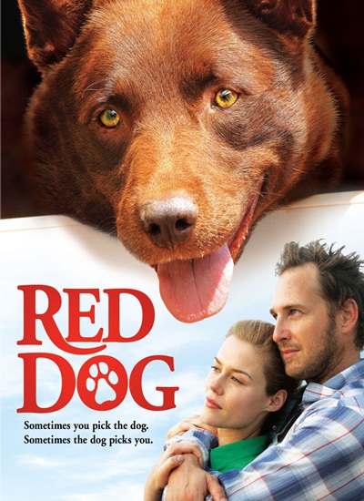 ดูหนังออนไลน์ หนังมาใหม่: Red Dog (2011) เพื่อนซี้หัวใจหยุดโลก HD