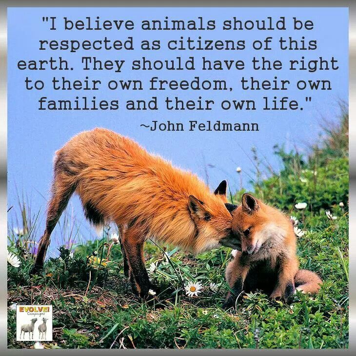 ENGAGE WITH ANIMALS: ANIMALS AS HUMANS ATTRIBUTES: TOP 10