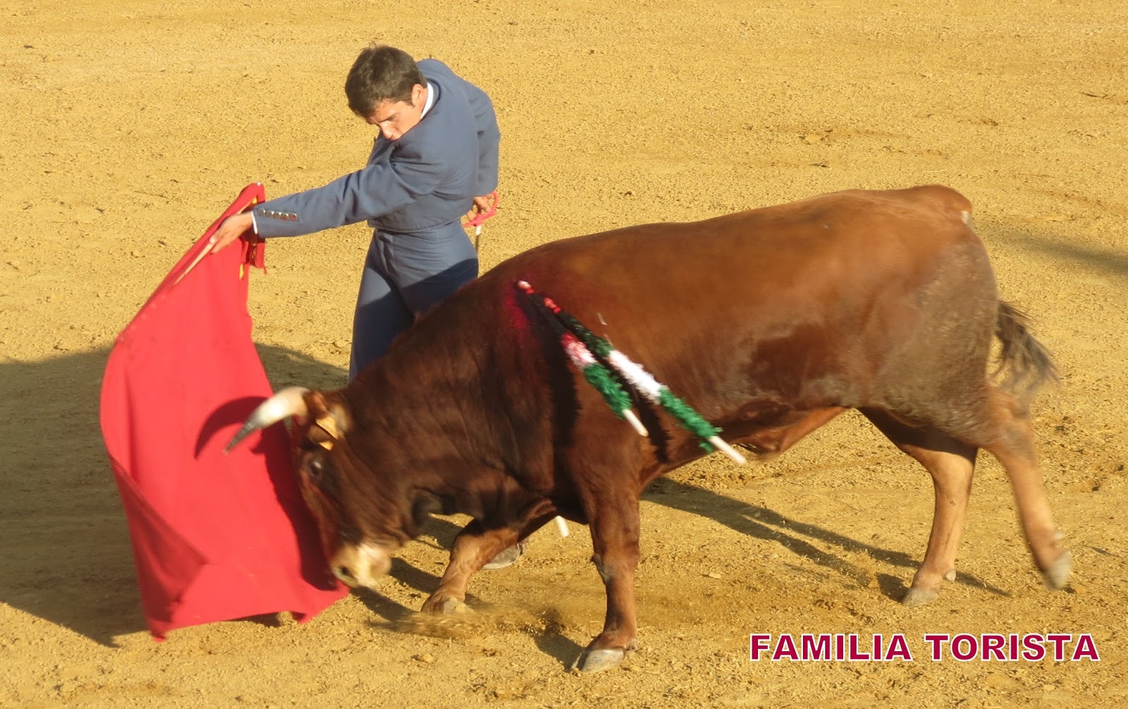 TOROS DEL CONDADO S.L: LOS NOVILLEROS, JOSÉ IGNACIO RODRÍGUEZ Y JIMÉNEZ ...