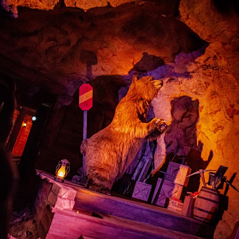 Disney Photoblography