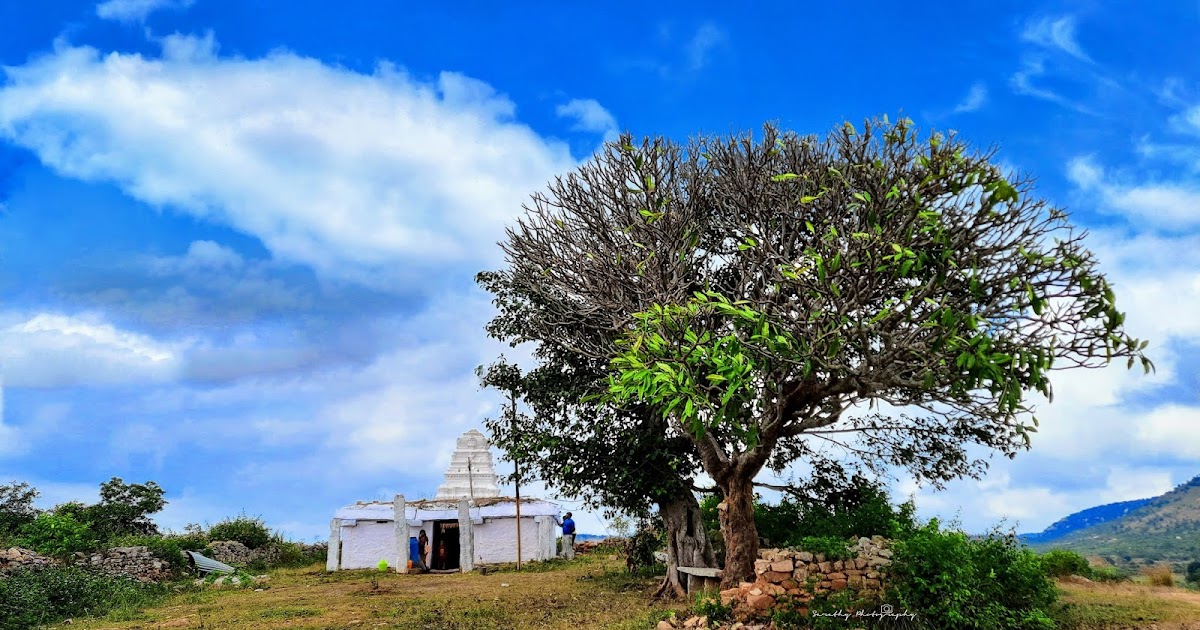 Sarathy the Traveler