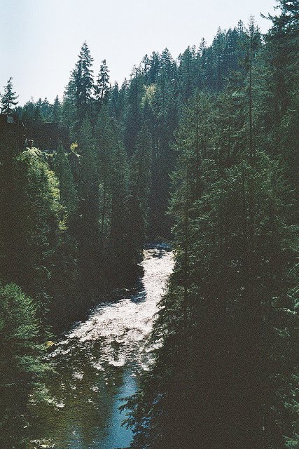 Eugene Remm: Earth Blog