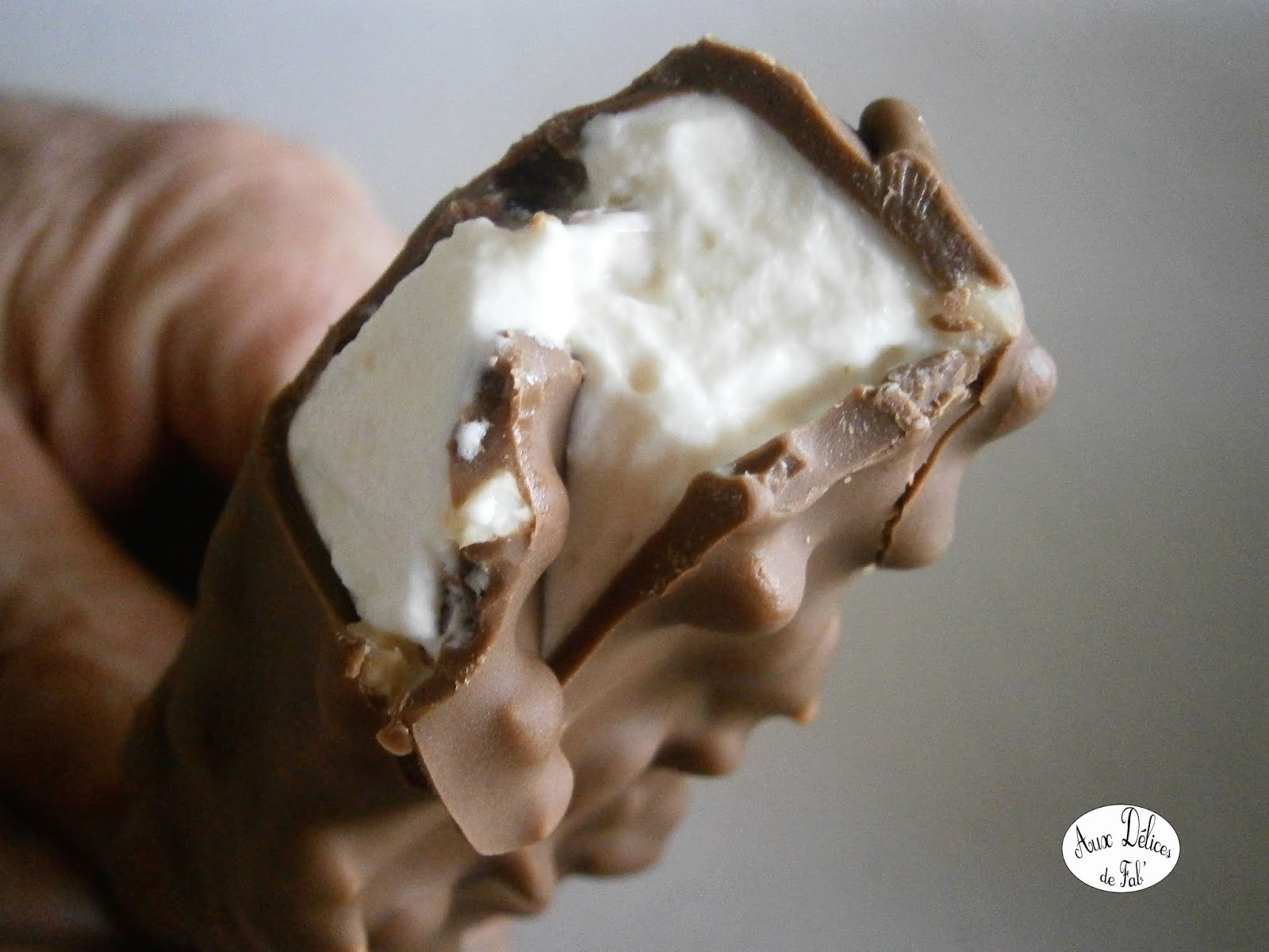 Aux délices de Fab: Esquimaux vanille enrobés chocolat sans sorbetière