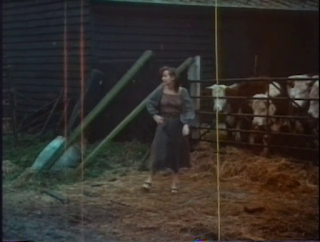 Dusty Video Box: Deeley depraved… Diversions (1976)