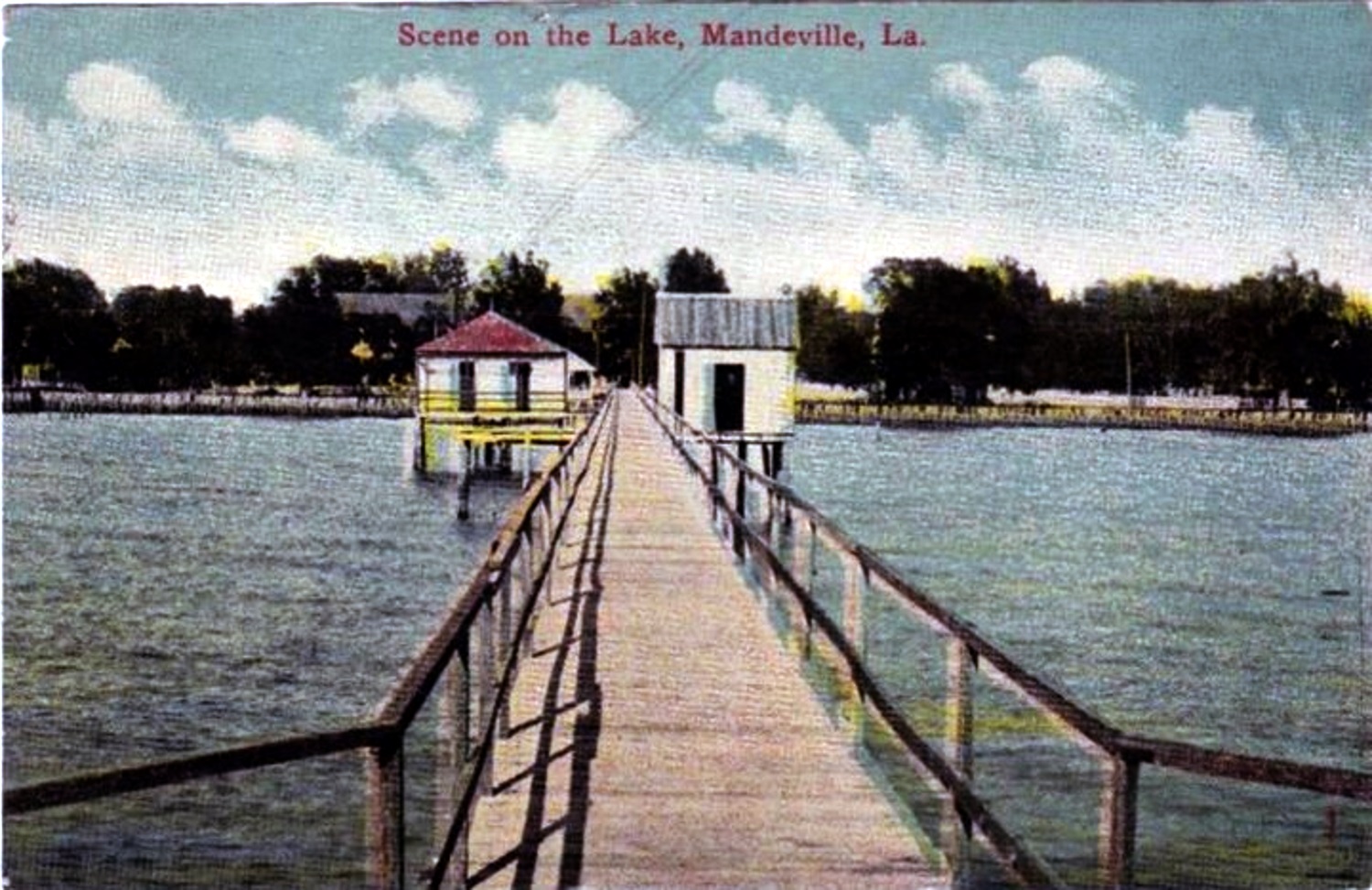 Tammany Family: Mandeville Pier Postcard