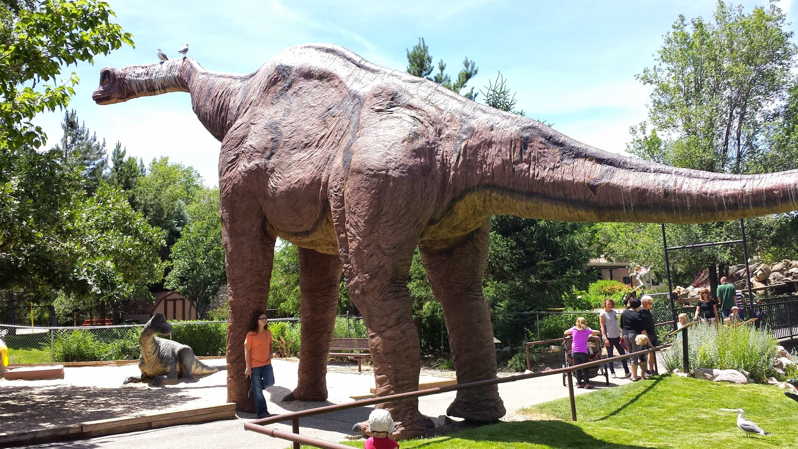 Robyn Echols Books: How I Spent My Summer Vacation