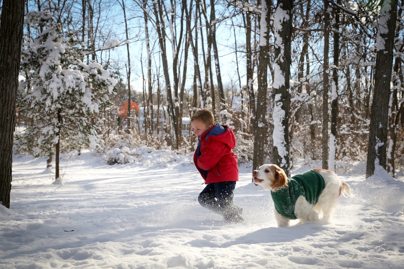 Caryn Ashley Photography