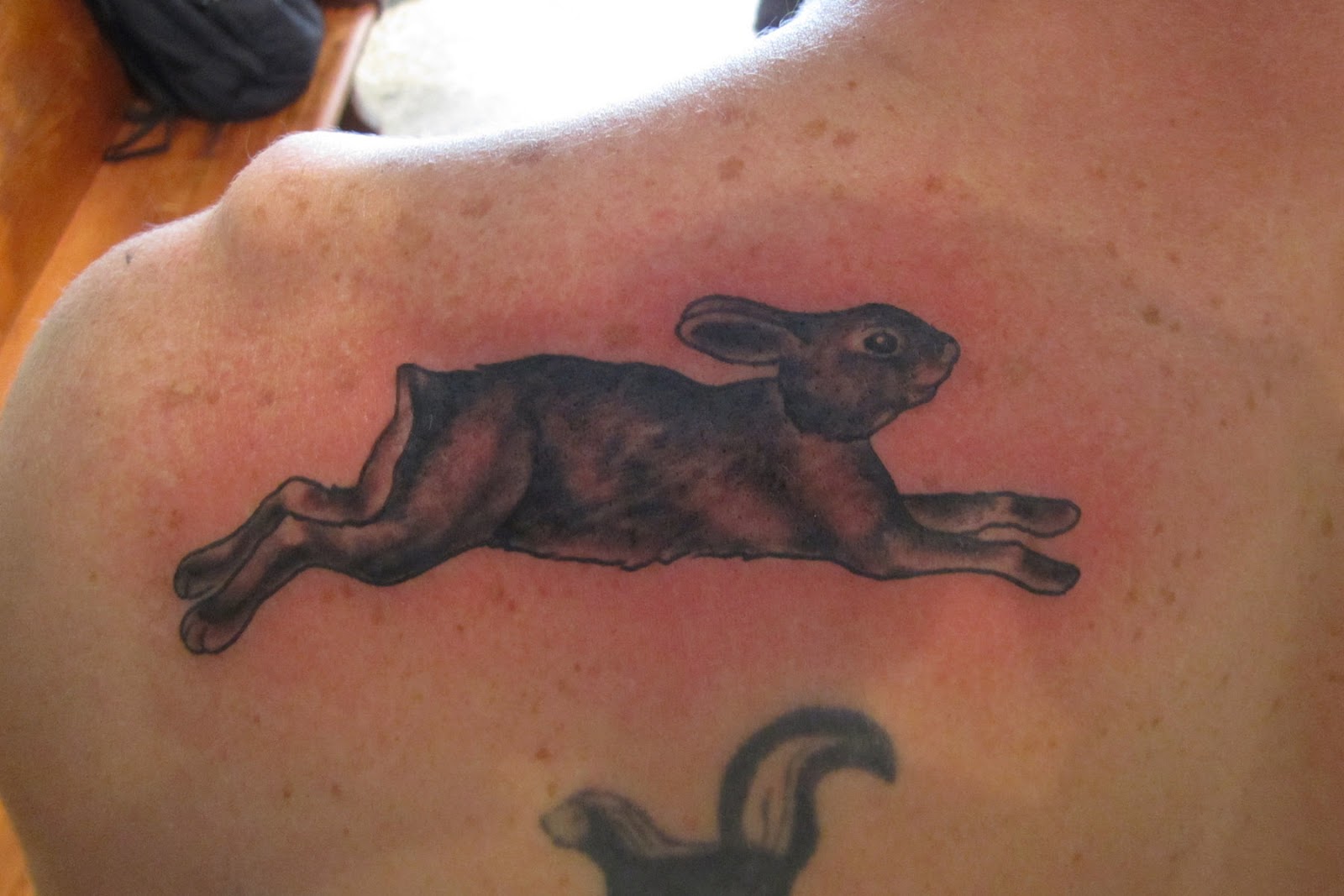 unfiltered: Animals!