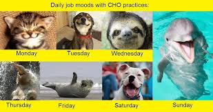 Daily Job Moods at Work Funny Images - TechAccent