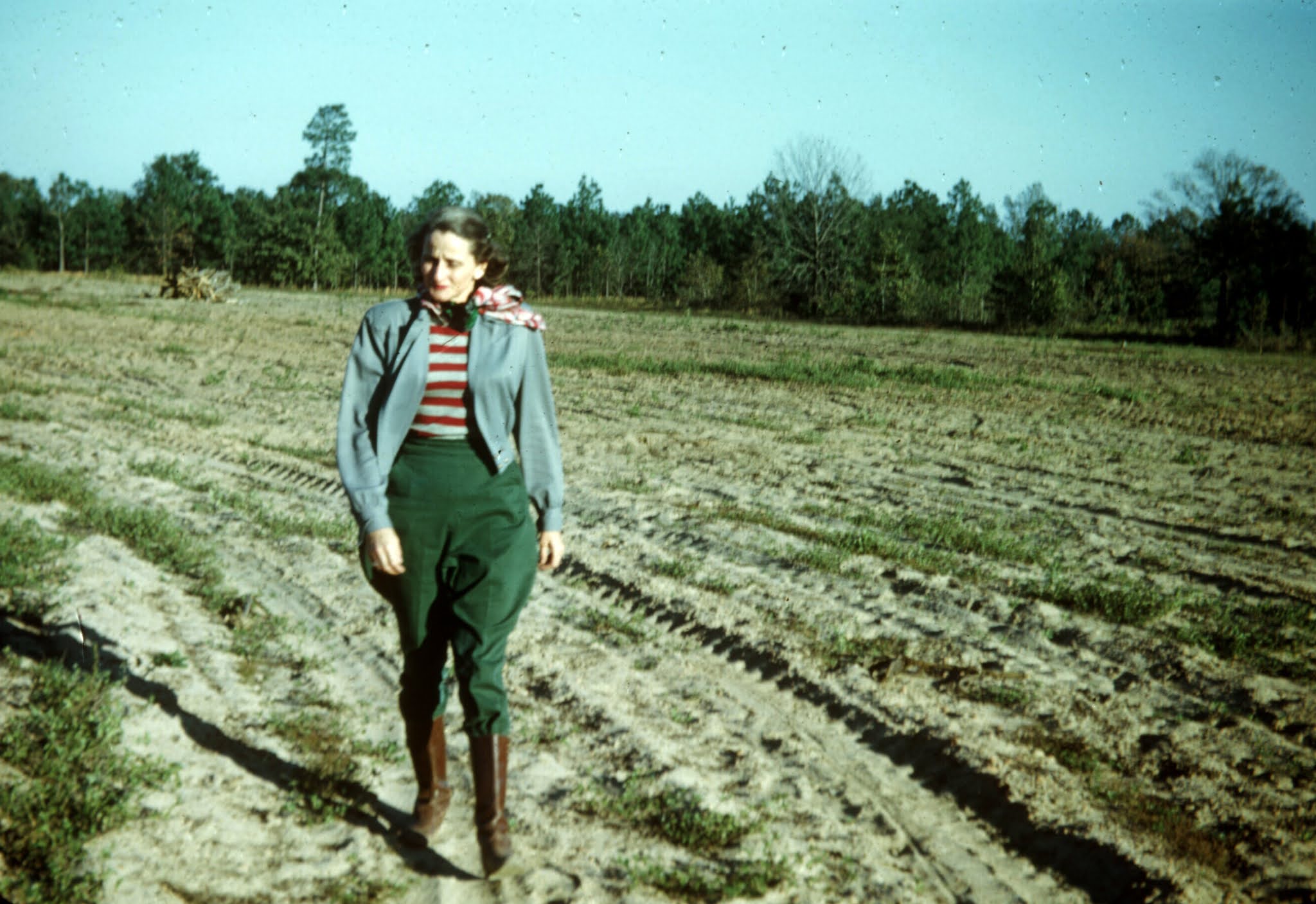 Tomfoolery: Sam Richard Vann, Jr. (Uncle Sam)