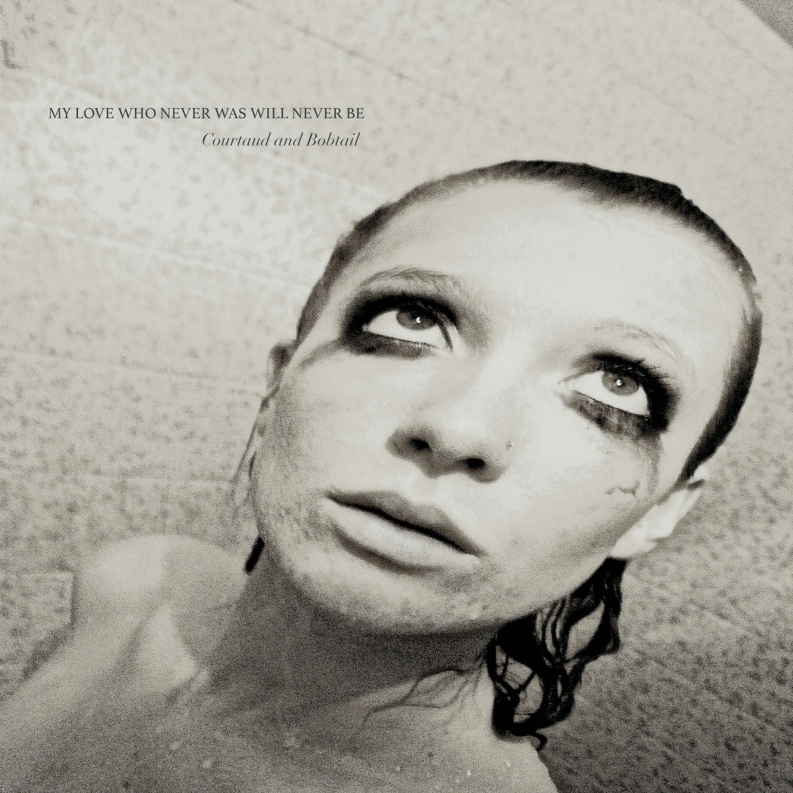 Courtaud and Bobtail