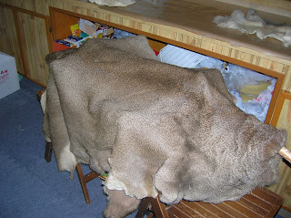 Musings of Musang: Bark tanning hair on deer hide