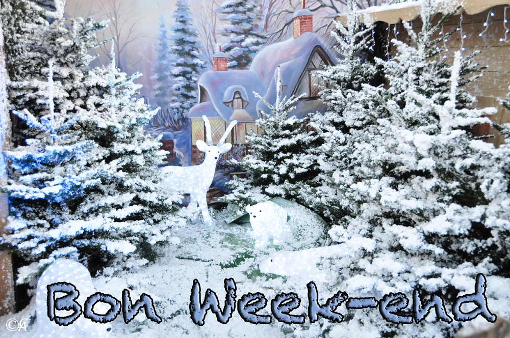 j'ai vu, j'ai photographié, je partage: E_CARD . Bon week-end