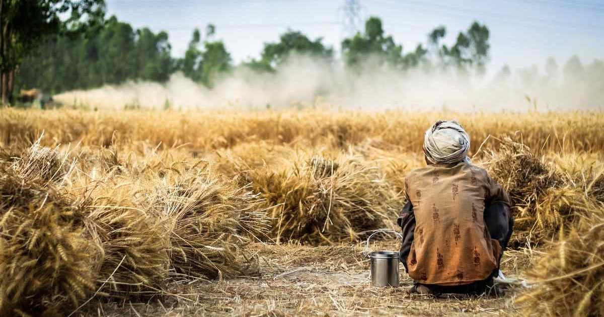 PROBLEMS FACED BY FARMERS