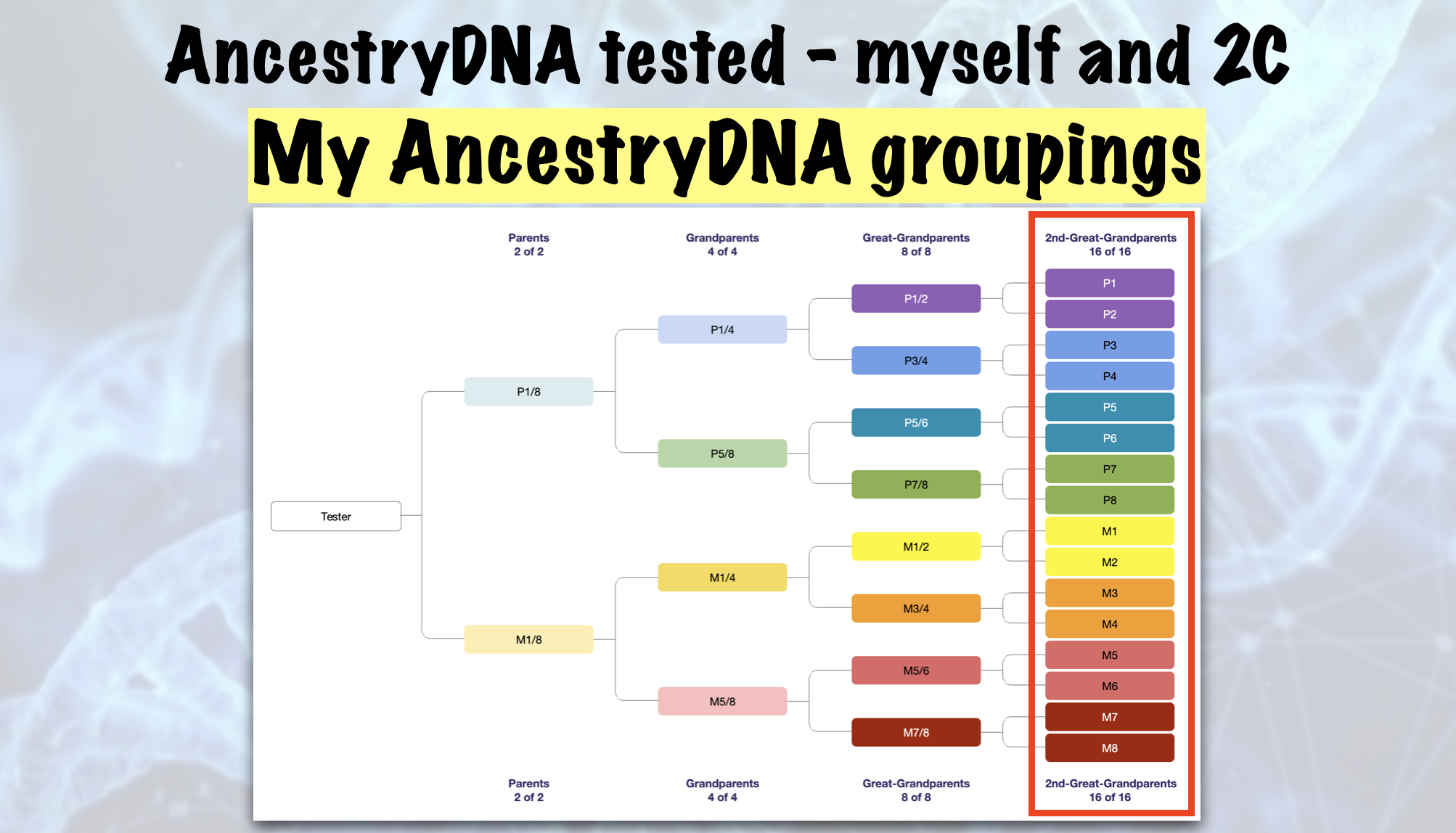 MODULE 2: Grouping your AncestryDNA matches - The Leeds Method and my ...