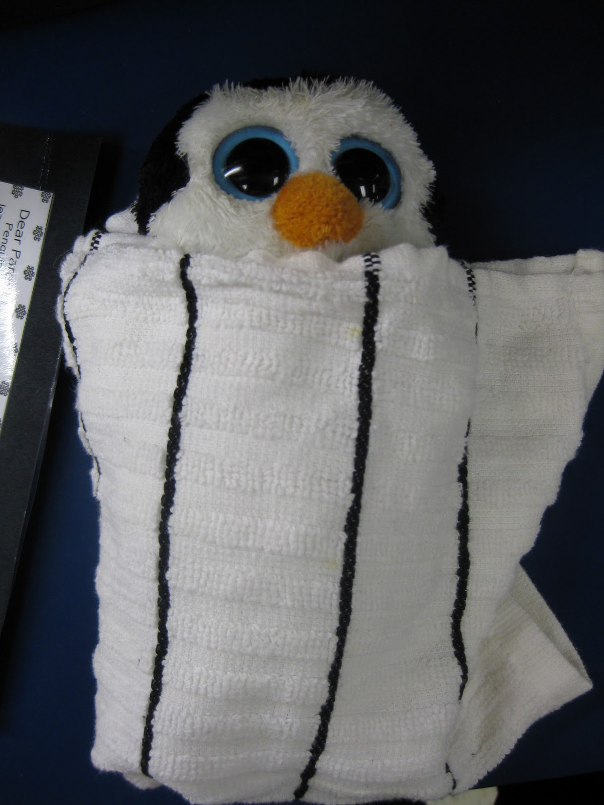 Ready To Learn: Cuddly Dudley