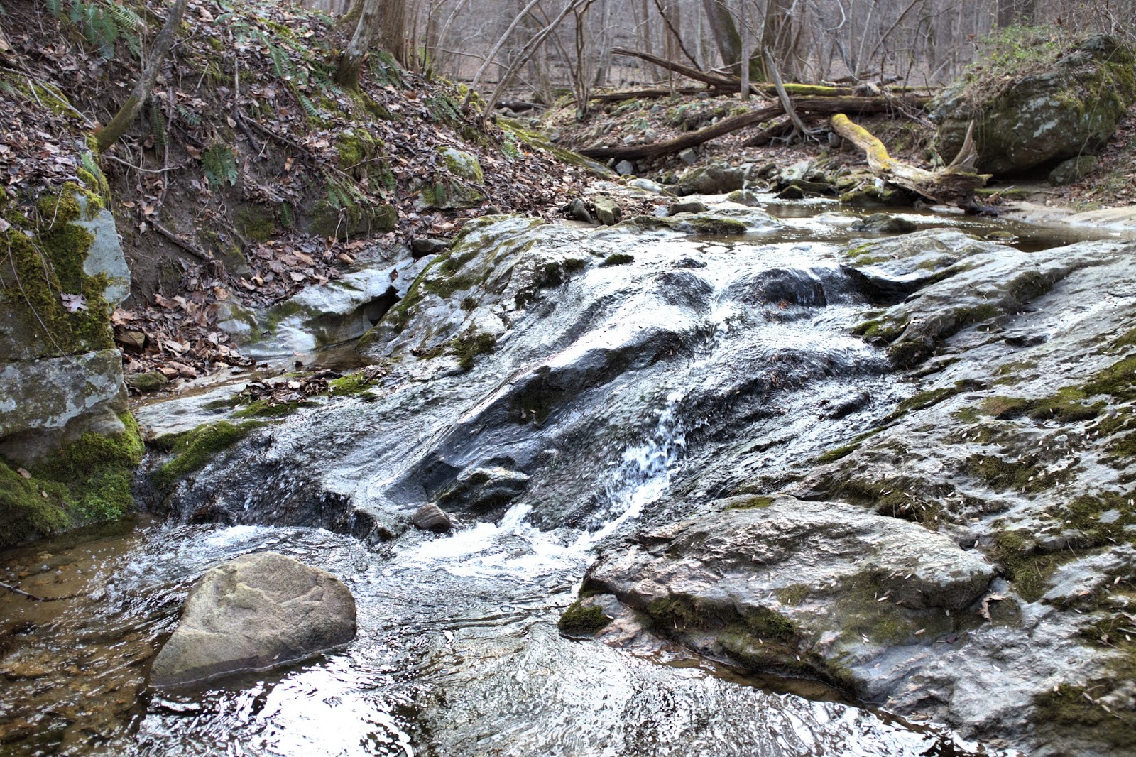 Pohlaxed: Camel's Den Cave