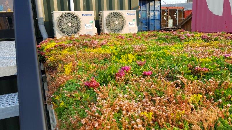 Shipping Container Homes & Buildings: Shipping Container Homes and ...