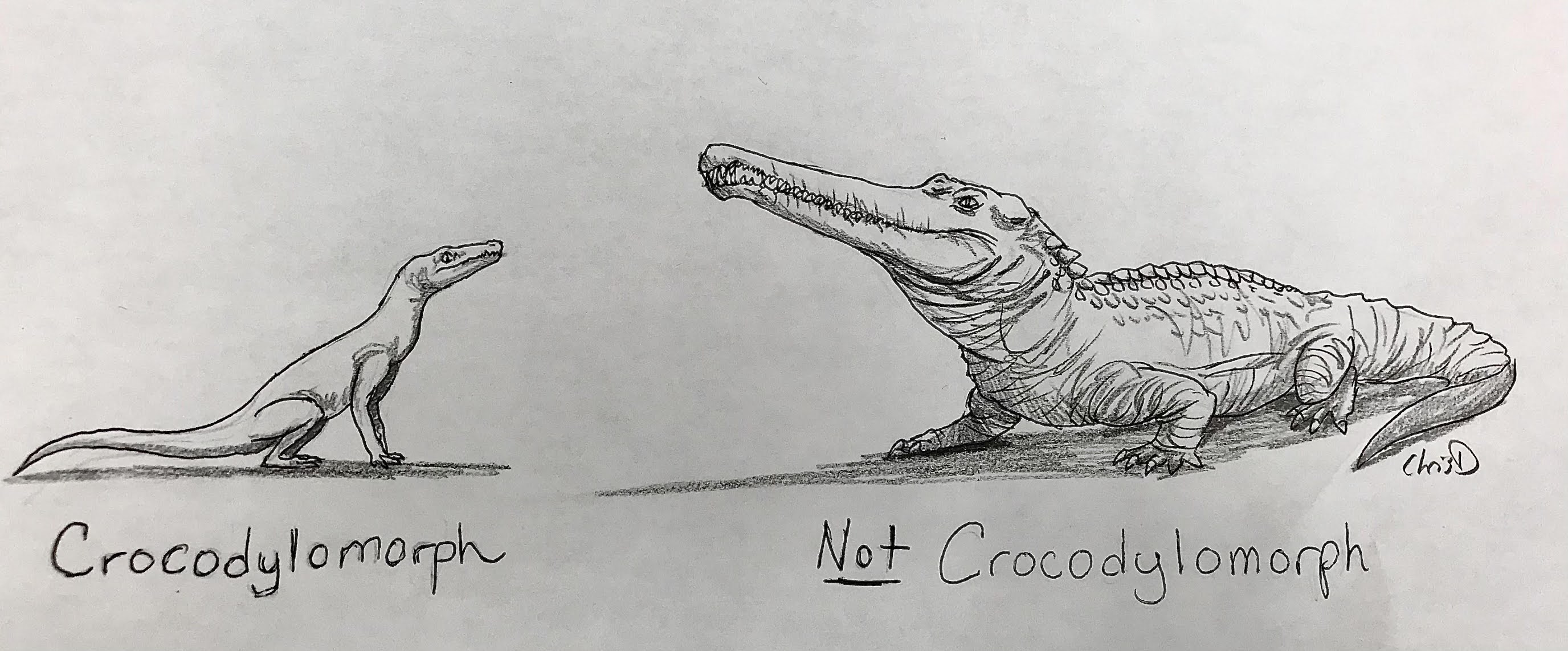 Prehistoric Beast of the Week: Rutiodon: Beast of the Week