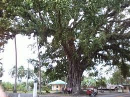 Tour Now Center: Magallanes, Agusan del Norte, Philippines